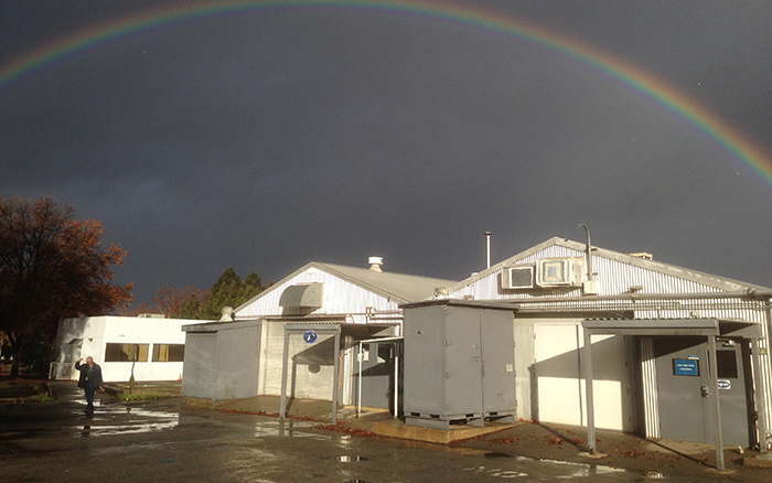 Jupiter Laser Facility - Lawrence Livermore National Laboratory ...